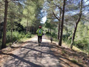 Via Verde Tortosa - Travelanding